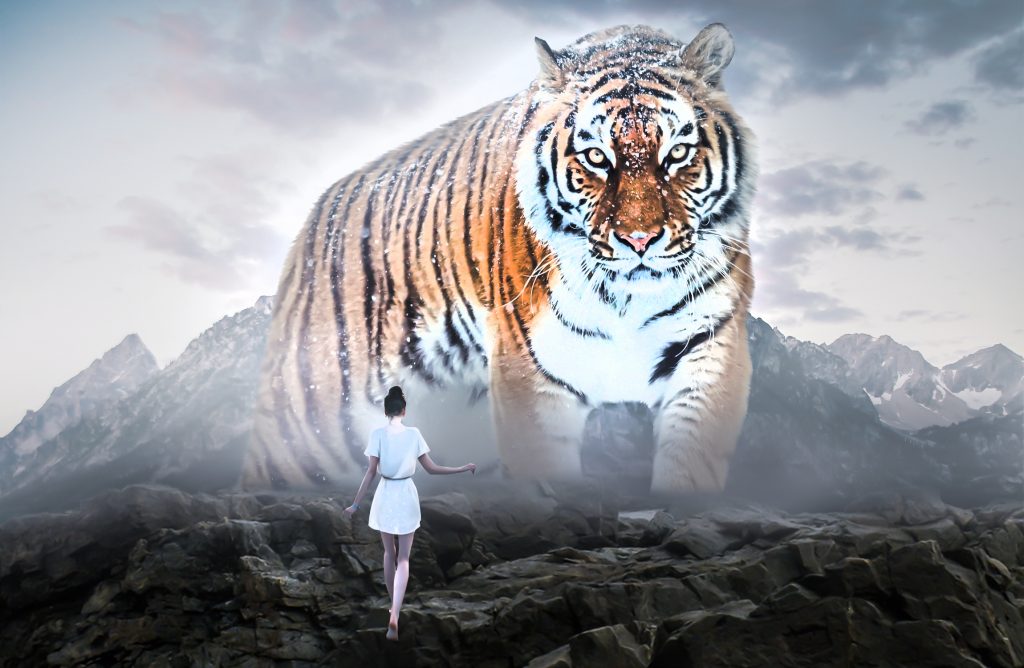 Manipulation - Work.lk